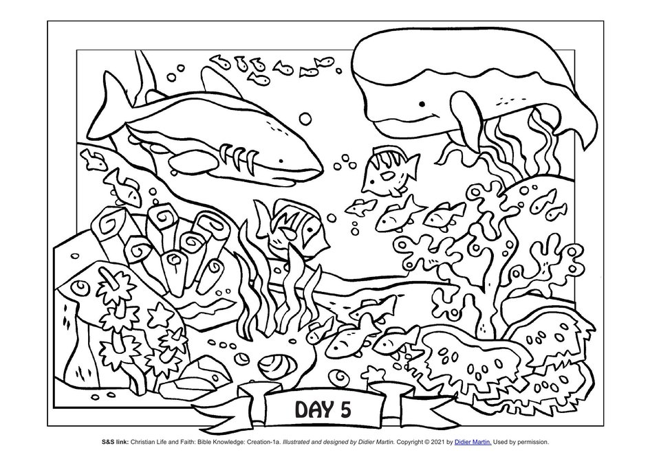 5th Day Of Creation Coloring Pages