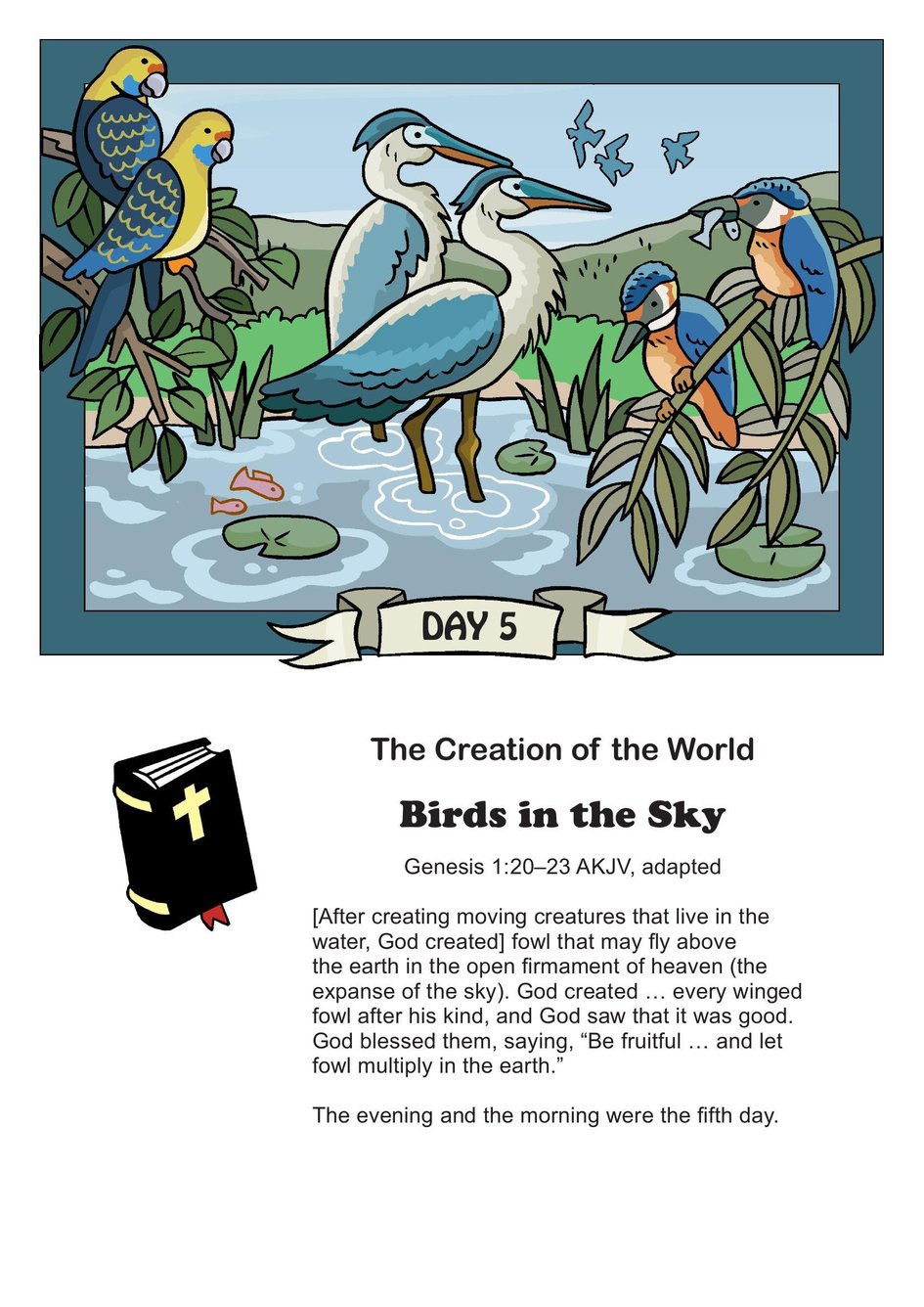 Photos Of Creation Birds